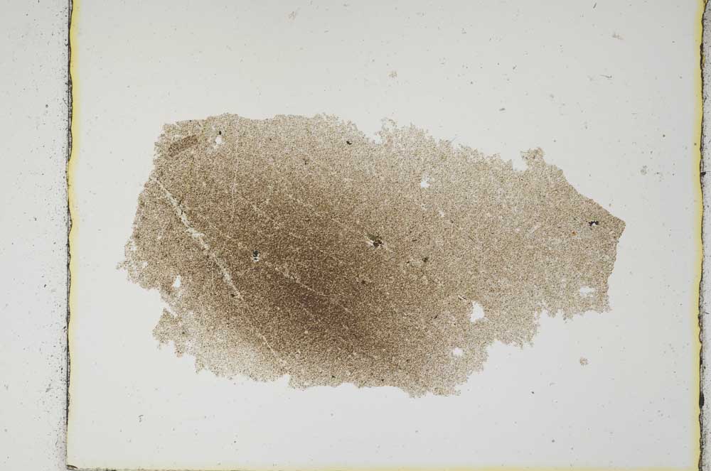 BGS rock collections - Collection record