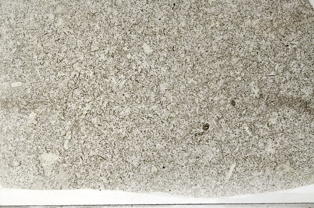 BGS rock collections - Collection record