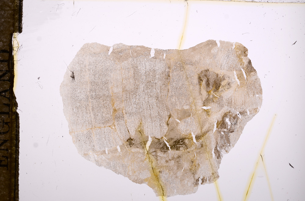 BGS rock collections - Collection record